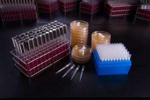Antimicrobial Preservative Efficacy Testing | Nelson Labas