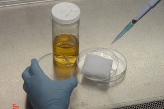 Antimicrobial Efficacy Test Services | Nelson Labs