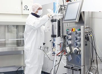 Sterilization and Sterility Verification of Single-Use Systems