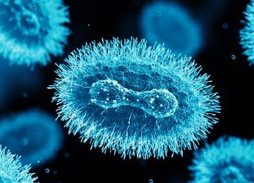 Webinar: Viral Clearance and Contamination Control in Biopharma