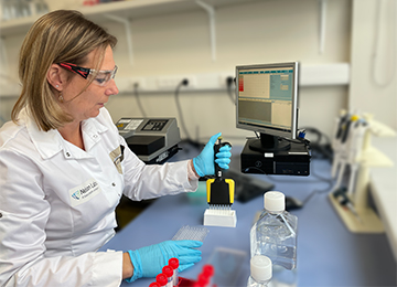 Should I Test for endotoxins Pre- or Post-Sterilization?