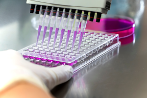 Determine Sample Quantity for Biocompatibility Testing | Nelson Labs